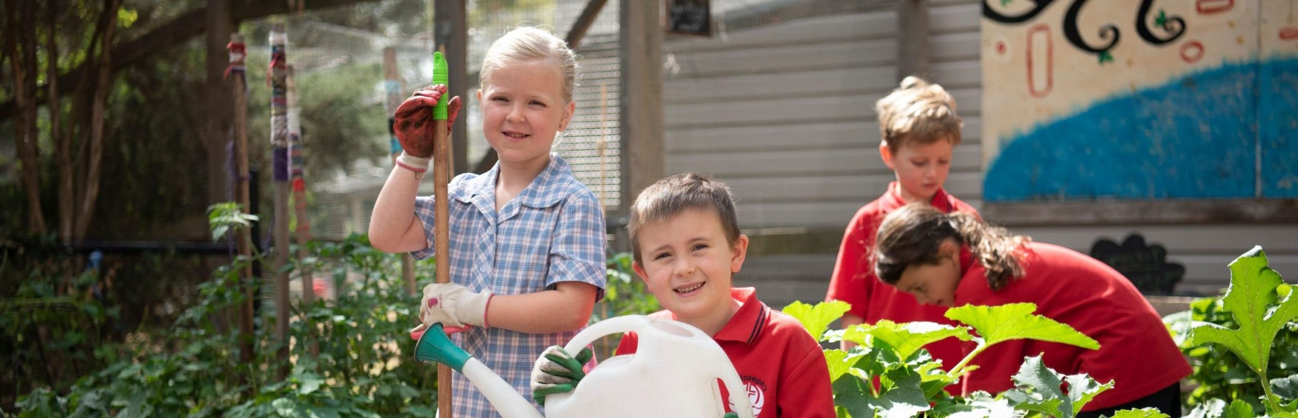 Overview - St Joseph's Crib Point
